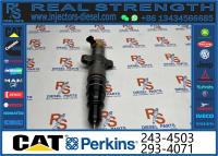 China Caterpillar original 238-8091 243-4503 20R-8058 387-9428 20R-8059 268-9577 328-2586 Diesel Engine Fuel Injector For Caterpillar Excavator CAT C7 original new injector for sale