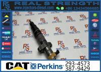 China Caterpillar original Caterpillar C7 excavators 324D, 325D, 330D, 336D engines are selling well. The diesel fuel injectors are 293-4573 and 2934573 original new injector for sale