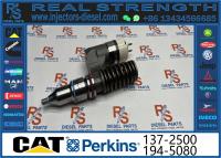 China Caterpillar original New C10 Rail Fuel Injector 137-2500 161-1785 203-7685 212-3464 212-3467 212-3468 10R-1256 10R-1814 10R-0967 10R-0725 for CAT original new injector for sale