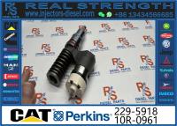 China Caterpillar original Diesel Injector Nozzles 874822 diesel Fuel Injector 223-5327 10R-1256 229-5918 10R-1814 for Caterpillar C10 original new injector for sale