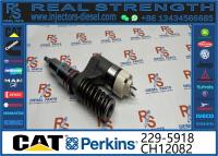 China Caterpillar original Diesel Injector Nozzles 874822 diesel Fuel Injector 223-5327 10R-1256 229-5918 10R-1814 for Caterpillar C10 original new injector for sale