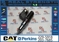 China Caterpillar original Diesel Injector Nozzles 874822 diesel Fuel Injector 223-5327 10R-1256 229-5918 10R-1814 for Caterpillar C10 original new injector for sale
