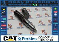 China Caterpillar original 229-5919 Fuel Injector for Caterpillar CAT C15 Diesel Engine, Excavator Spare Parts, Heavy Duty Accessories original new injector for sale