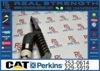 China Caterpillar original 234-1400 253-0614 10R-3263 289-0753 10R-0958 211-3022 Diesel Engine Fuel Injector For Caterpillar Excavator CAT C15 original new injector for sale