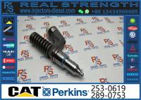 China Caterpillar original Diesel Engine 3406E Injector Gp-Fuel 253-0619 2530619 10R-7232 10R7232 compatible with Caterpillar Truck original new injector for sale