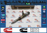 China Cummins original 4307475 Common Rail Fuel Injector for Cummins ISG12 ISG Diesel Engine Spare Parts High Performance Injection Valve Replacement OEM 5491515 4307468 original new injector for sale