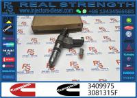 China Cummins original 3409975 Diesel Engine Fuel Injector Replacement for N14 QSN14 ISM11 s Common Rail Fuel Injector for  Vehicle  Accessories & Excavator Parts Fit 3083848F 3411764 6087807 for sale