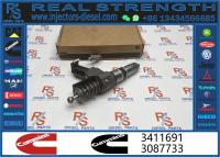 China Cummins original 3411691 Fuel Injector  Fits QSN14 N14 Diesel Engine Cross Reference 3083846 3083622 3087560 3087733 Truck Machinery  Parts for  Body Systems original new injector for sale
