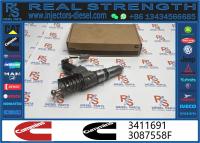 China Cummins original 3411691 Fuel Injector  Fits QSN14 N14 Diesel Engine Cross Reference 3083846 3083622 3087560 3087733 Truck Machinery  Parts for  Body Systems original new injector for sale