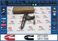 China Cummins original 3411691 Fuel Injector  Fits QSN14 N14 Diesel Engine Cross Reference 3083846 3083622 3087560 3087733 Truck Machinery  Parts for  Body Systems original new injector for sale