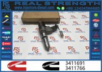 China Cummins original 3411691 Fuel Injector  Fits QSN14 N14 Diesel Engine Cross Reference 3083846 3083622 3087560 3087733 Truck Machinery  Parts for  Body Systems original new injector for sale