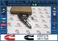 China Cummins original 4307516 Diesel Fuel Injector   Cummins QSN14 N14 Truck Engine Cross Reference 4307776 4384360 3411766 3411759 N14 Nozzle   Spare Part original new injector for sale