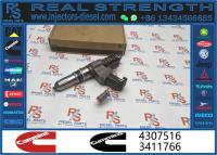 China Cummins original 4307516 Diesel Fuel Injector   Cummins QSN14 N14 Truck Engine Cross Reference 4307776 4384360 3411766 3411759 N14 Nozzle   Spare Part original new injector for sale