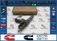 China Cummins original 4307795 Common Rail Fuel Injector  Diesel Fuel Part  N14 QSN14  Engine Excavator Accessory Cross Ref 3407776 4384360 4307516 3087733 original new injector for sale