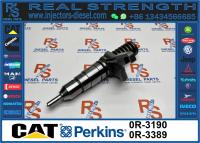 China Perkins original Perkins original Perkins 0R-3190 0R3190 Fuel Diesel Injector Pump 7E-8729 7E8729 for Engine 3114 3116 3126 3512C E320L Excavator new injector original new original new injector for sale