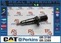 China Perkins original Perkins original Perkins 0R-3190 0R3190 Fuel Diesel Injector Pump 7E-8729 7E8729 for Engine 3114 3116 3126 3512C E320L Excavator new injector original new original new injector for sale