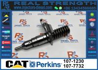 China Perkins original Perkins 107-1230 Fuel Injector for 3116 3114 C15 Engine E322B E322C E325B E325B L Excavator Replacement Parts new injector original new injector for sale