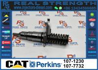 China Perkins original Perkins 107-1230 Fuel Injector for 3116 3114 C15 Engine E322B E322C E325B E325B L Excavator Replacement Parts new injector original new injector for sale