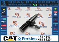 China Perkins original Perkins 173-4647 Fuel Injector Assembly for 3114 3116 Engine Truck new injector original new injector for sale