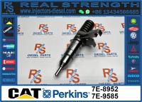 China Perkins original Perkins 7E-8952 Diesel Engine Fuel Injector for 3116 Excavator 200B 320B 322B 325B 446B new injector original new injector for sale
