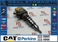 China Perkins original Perkins 222-5965 fuel injection pump spare part replacement for OEM  original new injector for sale