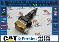 China Perkins original Perkins 222-5967 replacement for OEM fuel injector new injector original new injector for sale