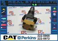 China Perkins original Perkins 222-5968 diesel fuel injector replacement for OEM common rail system new injector original new injector for sale