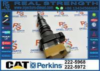 China Perkins original Perkins 222-5968 diesel fuel injector replacement for OEM common rail system new injector original new injector for sale