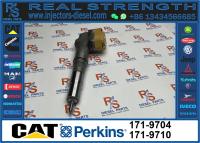 China Perkins original Perkins 171-9704 Diesel Engine Fuel Injector for 3412 3408 Replacement for OEM  original new injector for sale