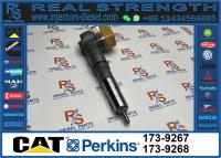 China Perkins original Perkins 173-9267 Common Rail Fuel Injector for 3412 3412E 5110B 3126B 3512B Engine Parts Replacement for OEM original new injector for sale