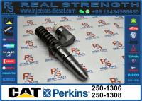 China Perkins original Perkins 250-1306 Diesel Fuel Injector for 3508B 3512B 3516B PM3508B PM3516B Engine, Replacement for OEM  original new injector for sale