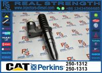 China Perkins original Perkins 250-1312 diesel fuel injector replacement for OEM common rail system  original new injector for sale