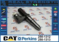 China Perkins original Perkins 250-1312 diesel fuel injector replacement for OEM common rail system  original new injector for sale