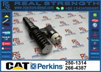 China Perkins original Perkins 250-1314 Common Rail Diesel Fuel Injector for 3512B 3516B 3508B E3512B Engine Excavator Dozer  original new injector for sale
