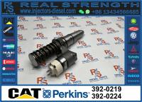 China Perkins original 392-0219 Diesel Engine Parts Common Rail Fuel Injector for 3512B 3508 3512 3516 3524 Construction Machinery  original new injector for sale
