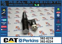 China Perkins original 392-0219 Diesel Engine Parts Common Rail Fuel Injector for 3512B 3508 3512 3516 3524 Construction Machinery  original new injector for sale