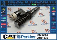China Perkins original Perkins 3920214 Diesel Fuel Injector for 3508B 3512B 3516B Engine  original new injector for sale