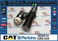 China Perkins original Perkins 3920214 Diesel Fuel Injector for 3508B 3512B 3516B Engine  original new injector for sale