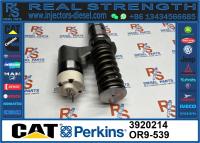 China Perkins original Perkins 3920214 Diesel Fuel Injector for 3508B 3512B 3516B Engine  original new injector for sale