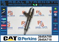 China Perkins original Perkins 2645A709 Common Rail Diesel Fuel Injector for C6.6 1106D C6.4 320D 326-4700 10R-7668 Replacement new injector original new injector for sale