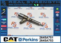 China Perkins original 2645A751 Diesel Engine Fuel Injector Replacement for C6.6 1106D-E66ta 1104D-44T Excavator Construction Machinery original new injector for sale