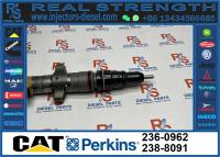 China Perkins original Perkins 236-0962 diesel fuel injector new injector original new injector for sale