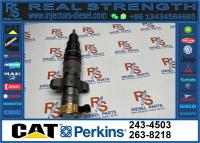 China Perkins original  243-4503 Diesel Engine Common Rail Fuel Injector for C7 E324D E325D Excavator 238-8091 20R-8058 387-9428  original new injector for sale
