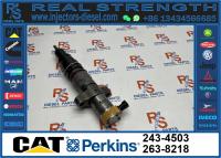 China Perkins original  243-4503 Diesel Engine Common Rail Fuel Injector for C7 E324D E325D Excavator 238-8091 20R-8058 387-9428  original new injector for sale
