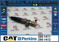 China Perkins original Perkins 295-1411 Common Rail Diesel Fuel Injector for CAT C7 325D 324D 328D 329D Excavator new injector original new injector for sale