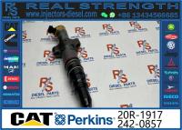 China Perkins original Perkins 20R-1917 Common Rail Fuel Injector for C9 Engine 330D 340D 336D Excavator Replacement for OEM new injector original new injector for sale