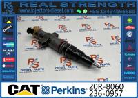 China Perkins original Perkins 20R-8060 20R-8066 20R-8058 Diesel Fuel Injector for C7 C9 Engine 330D 336D Excavator Truck new injector original new injector for sale