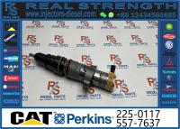 China Perkins original Perkins 225-0117 Common Rail Fuel Injector for C9 Engine 330D 336D Excavator Replacement for OEM new injector original new injector for sale