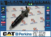 China Perkins original Perkins 267-9734 Common Rail Fuel Injector for C9 Engine E330D E336D E340D Excavator new injector original new injector for sale