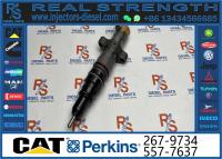 China Perkins original Perkins 267-9734 Common Rail Fuel Injector for C9 Engine E330D E336D E340D Excavator new injector original new injector for sale